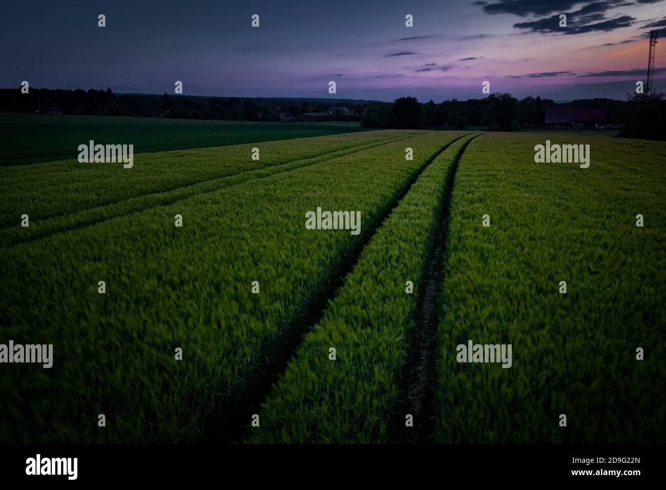 tractor trails in green field at night Stock Photo - Alamy