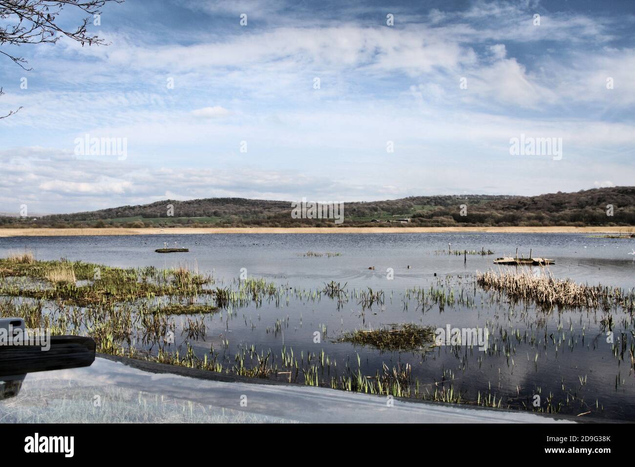 A view of Leighton Moss Nature Reserve Stock Photo - Alamy