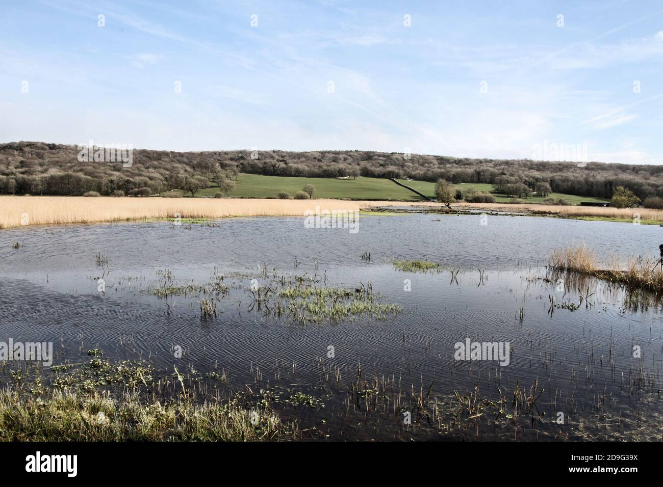 A view of Leighton Moss Nature Reserve Stock Photo - Alamy