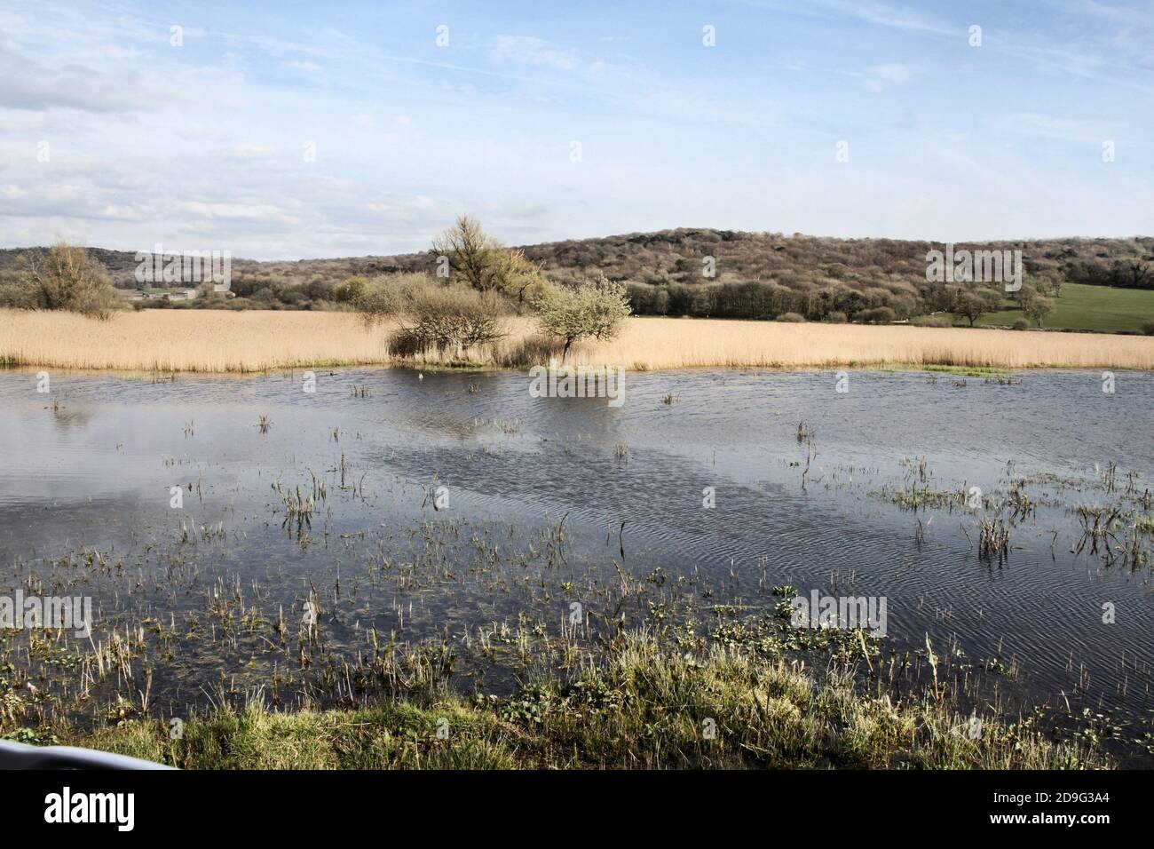 Leighton moss reedbed water hi-res stock photography and images - Alamy