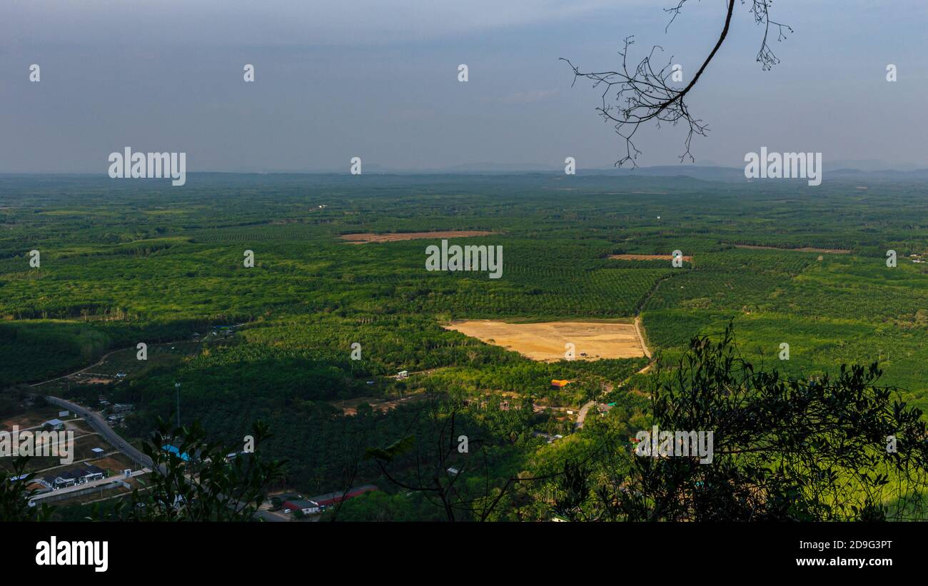 Tiger Top View High Resolution Stock Photography and Images - Alamy