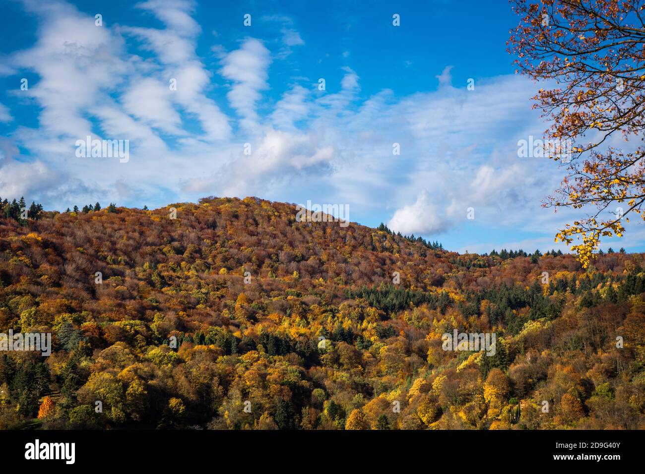 Fall time hills Stock Photo - Alamy