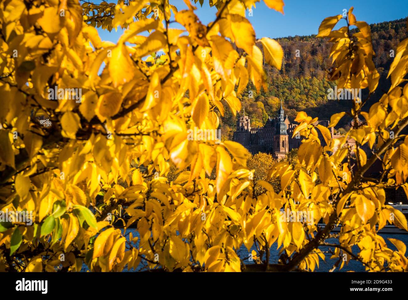 Park heidelberg autumn fall hi-res stock photography and images - Alamy