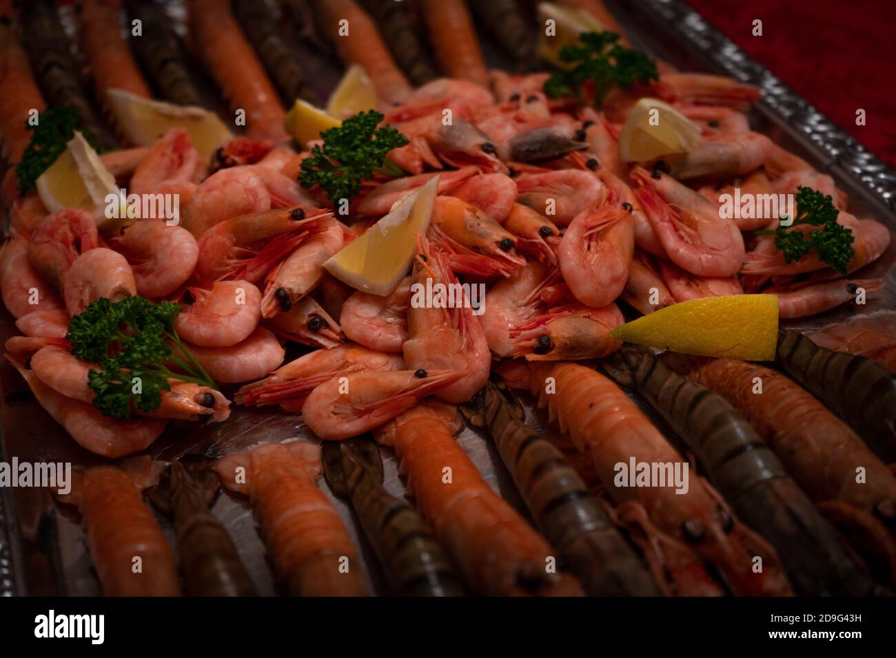 Served shrimp on a tray Stock Photo - Alamy