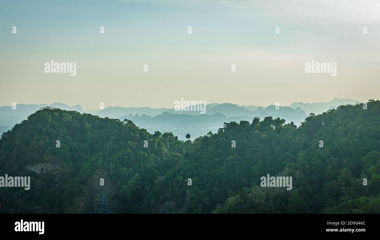Bells in tree hi-res stock photography and images - Alamy