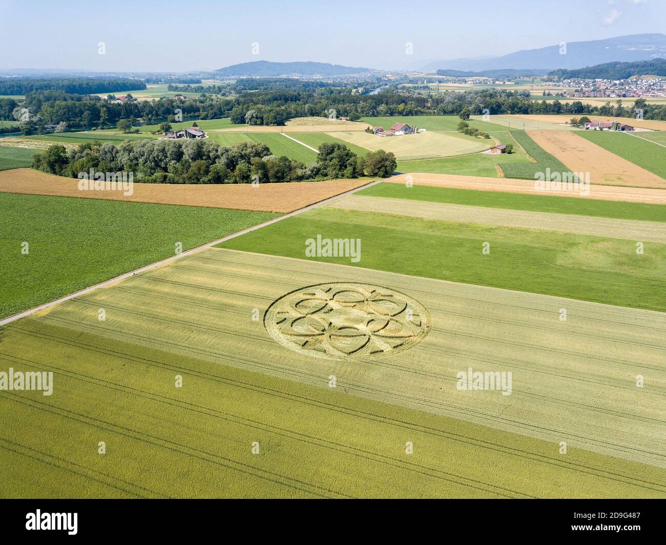 Swiss wheat field hi-res stock photography and images - Alamy