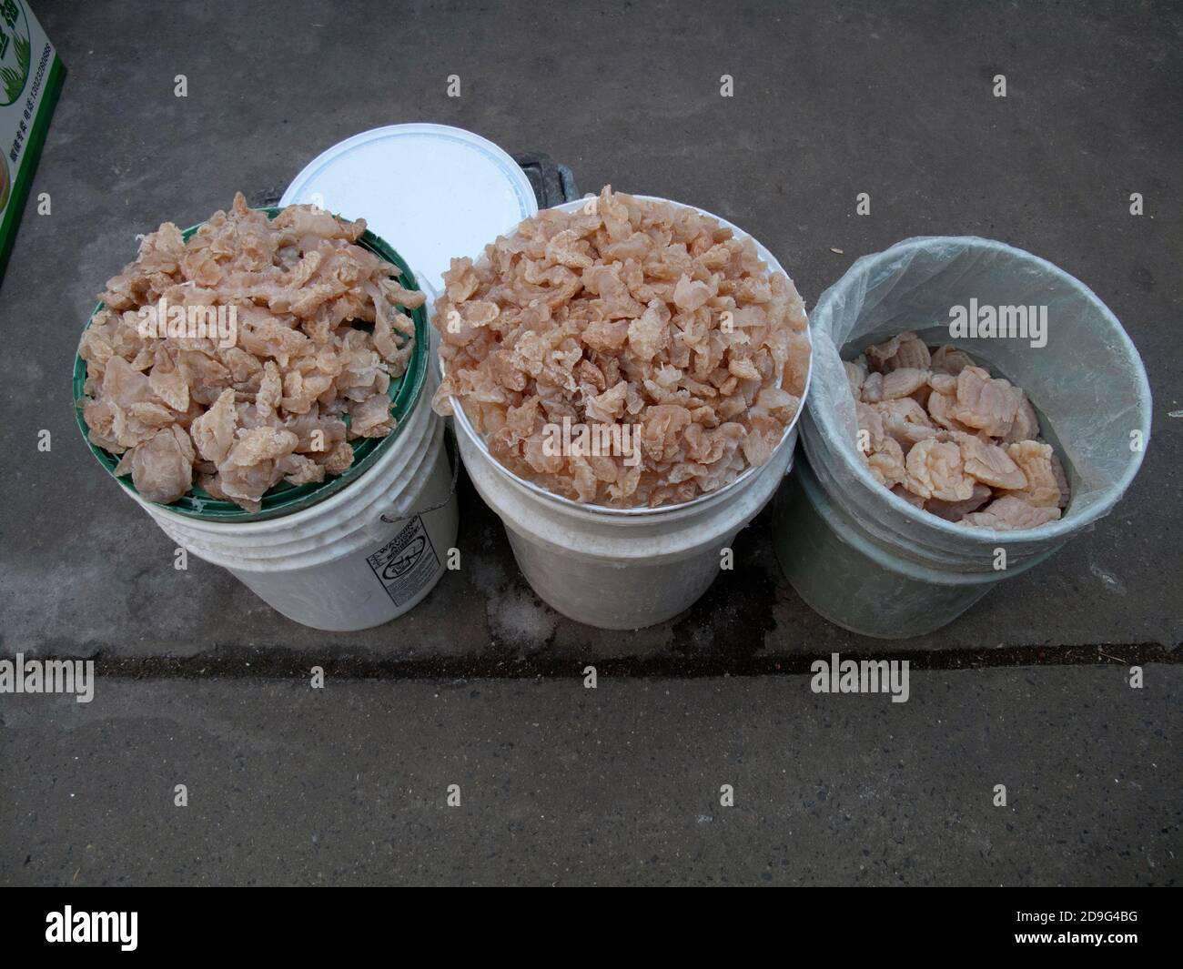 Edible jellyfish hi-res stock photography and images - Alamy