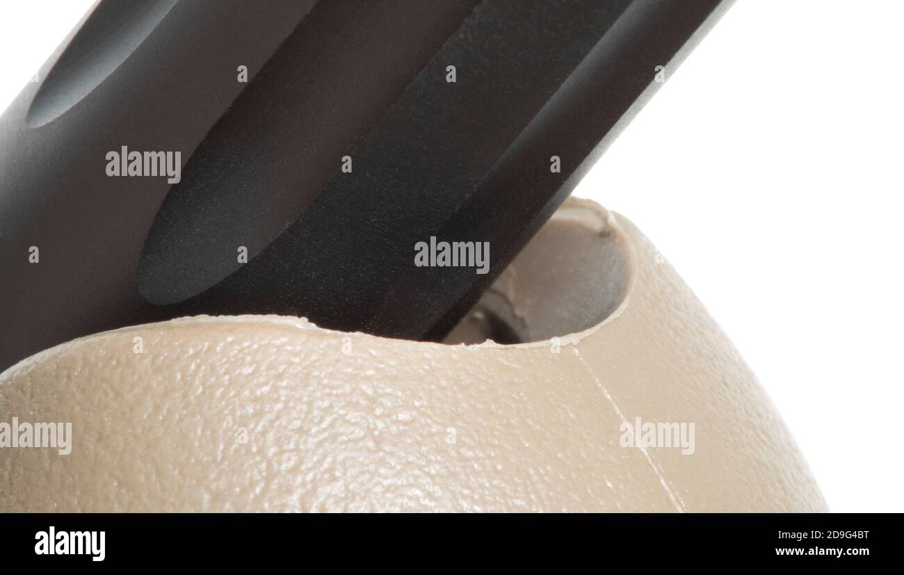 Free floating up close between a rifle barrel and the stock Stock Photo ...