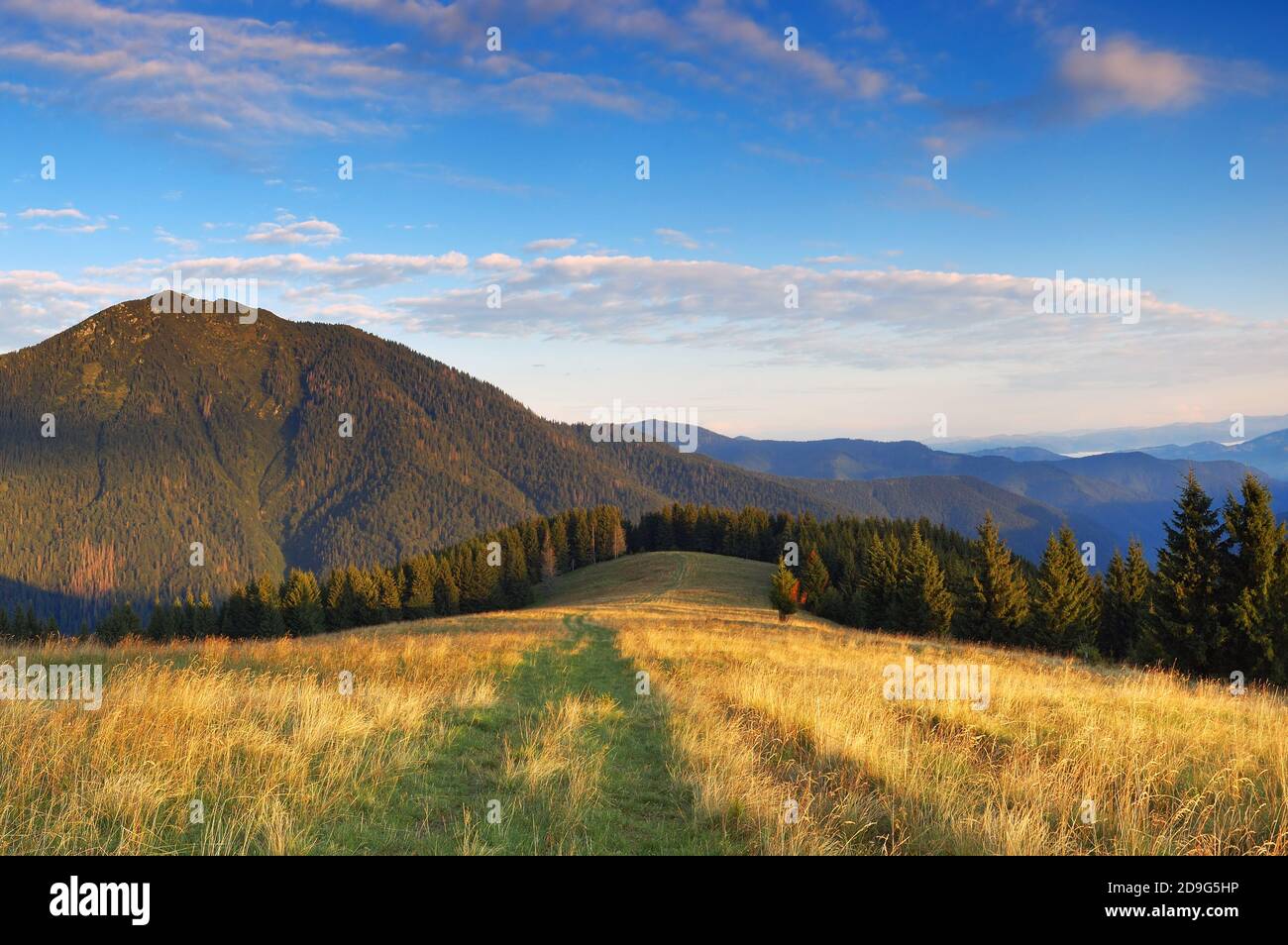 Crisp autumn scene hi-res stock photography and images - Alamy