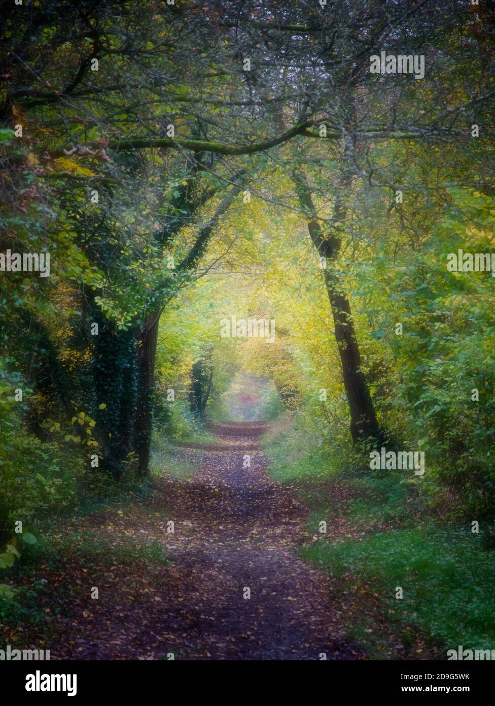 Meon valley railway hi-res stock photography and images - Alamy