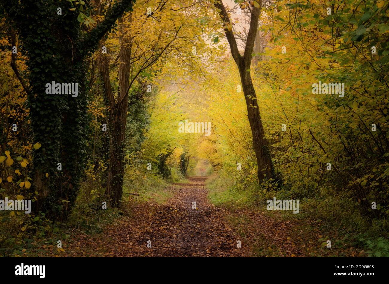 Meon valley railway hi-res stock photography and images - Alamy