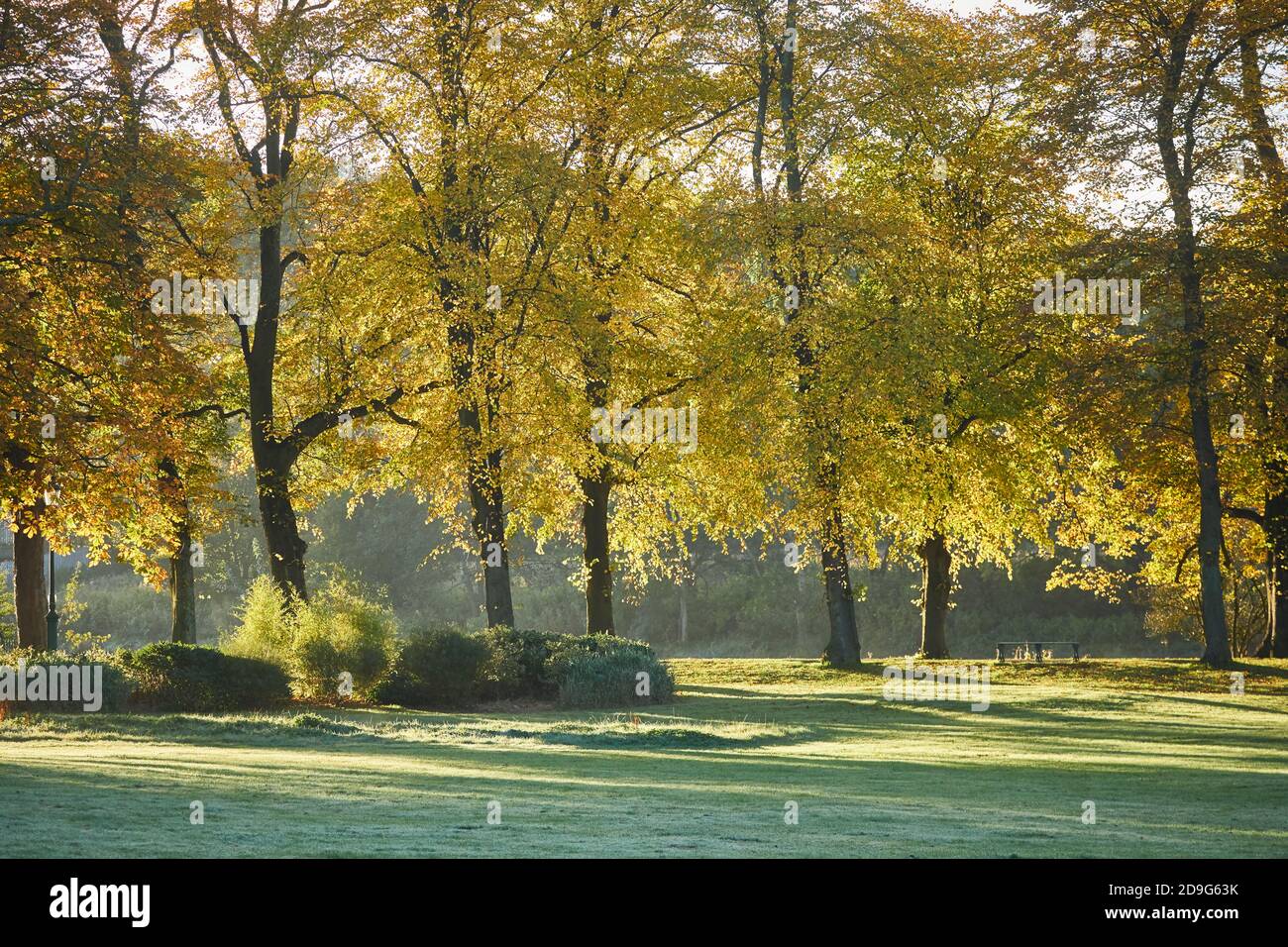 Autumn at Preston town centre Avenham Park conservation area on the ...