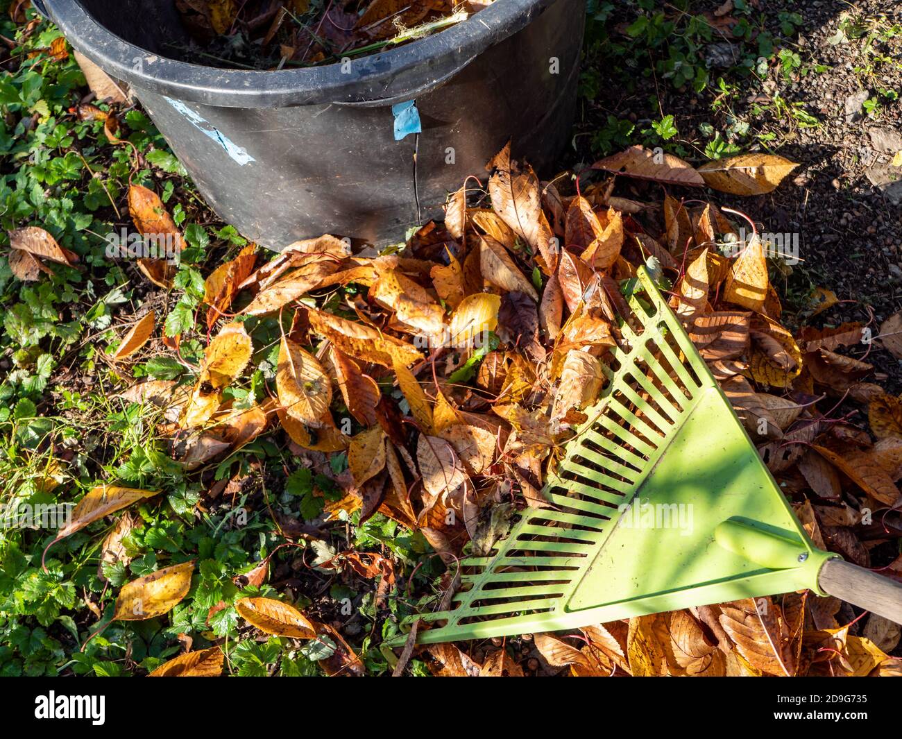 Rake off hi-res stock photography and images - Alamy