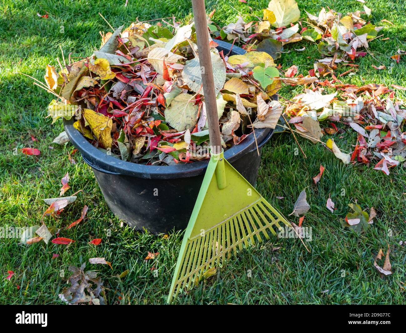 Rake off hi-res stock photography and images - Alamy