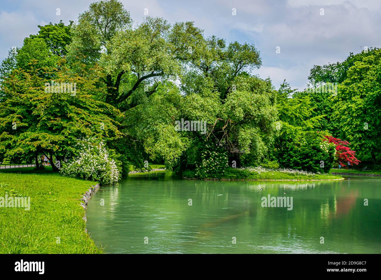 Beautiful lake of green waters shaded by lush vegetation, leafy trees ...