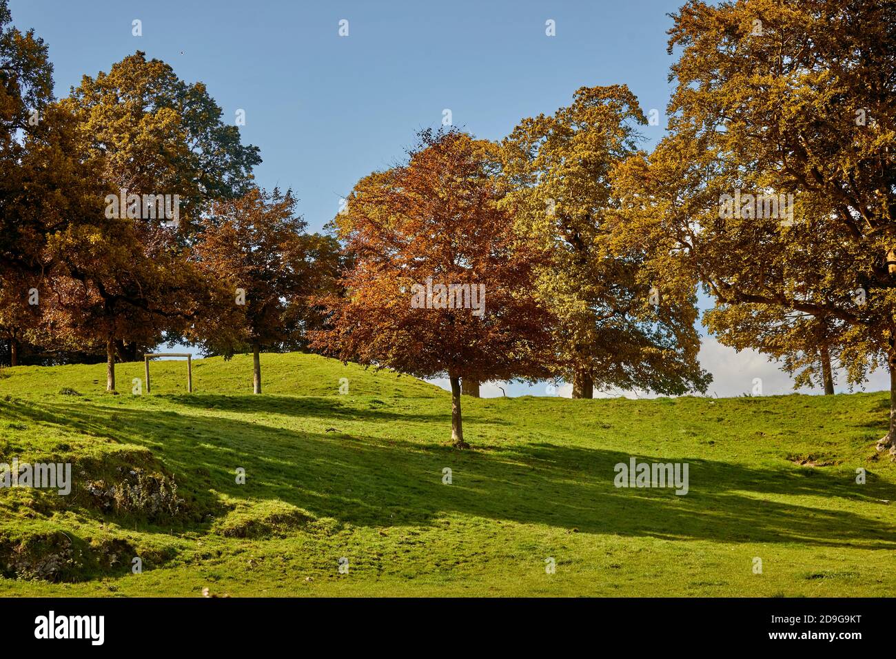 Northwest england uk britain europe tree trees hi-res stock photography ...