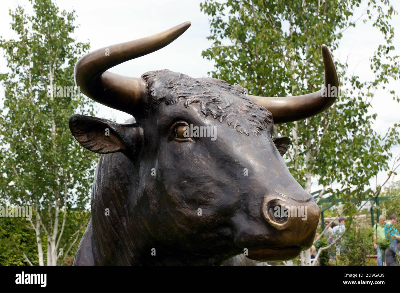 Bronze stier hi-res stock photography and images - Alamy