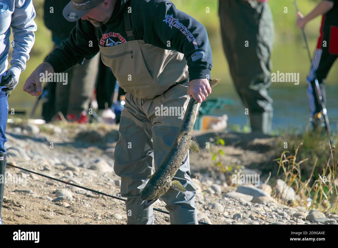 A fisherman with his catch during the salmon run in the fall of 2020 at ...