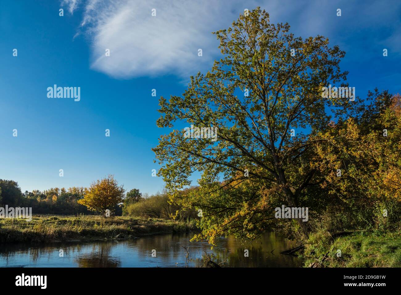 little river in fall season Stock Photo - Alamy