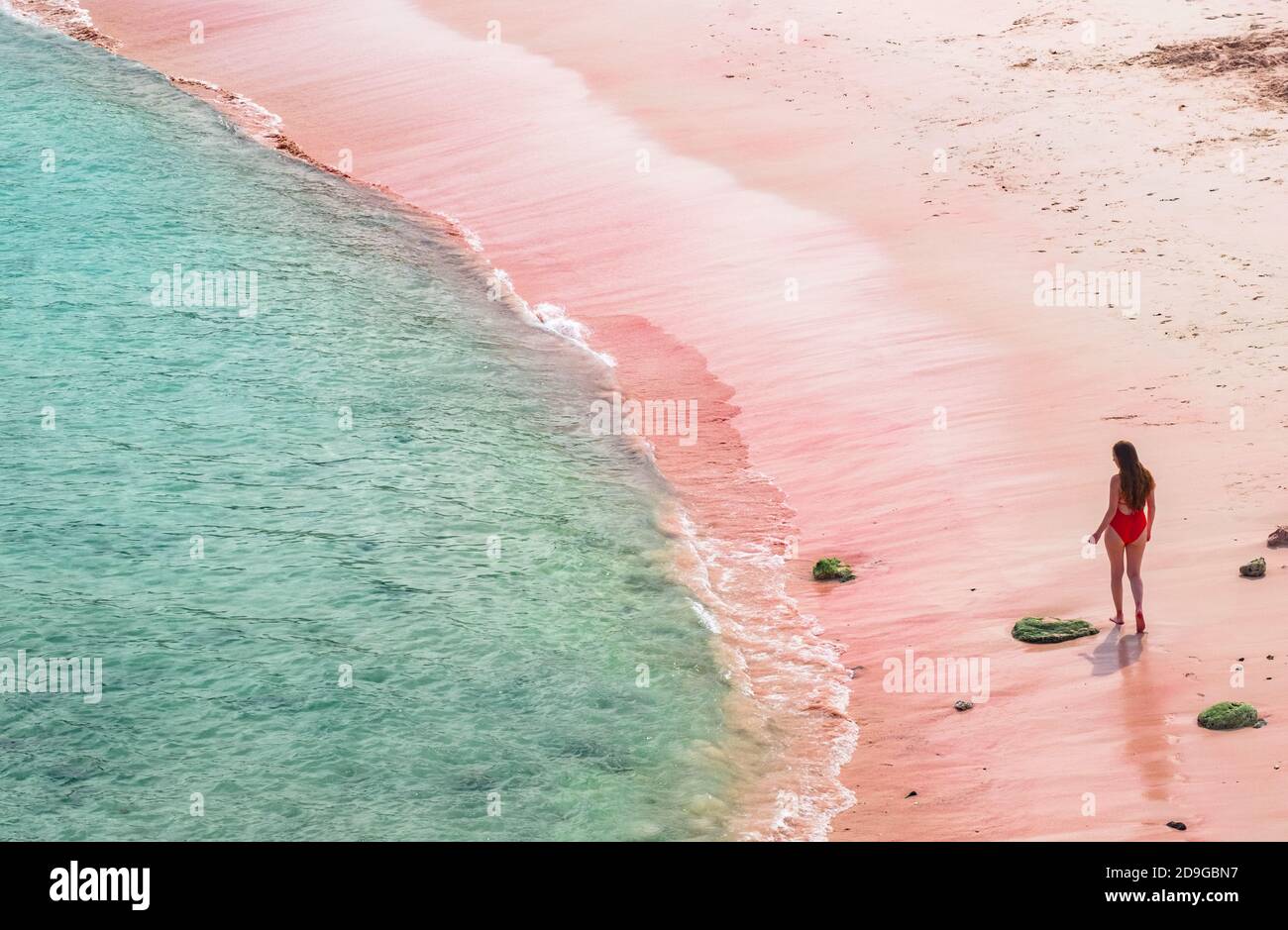 Pink beach flores hi-res stock photography and images - Alamy