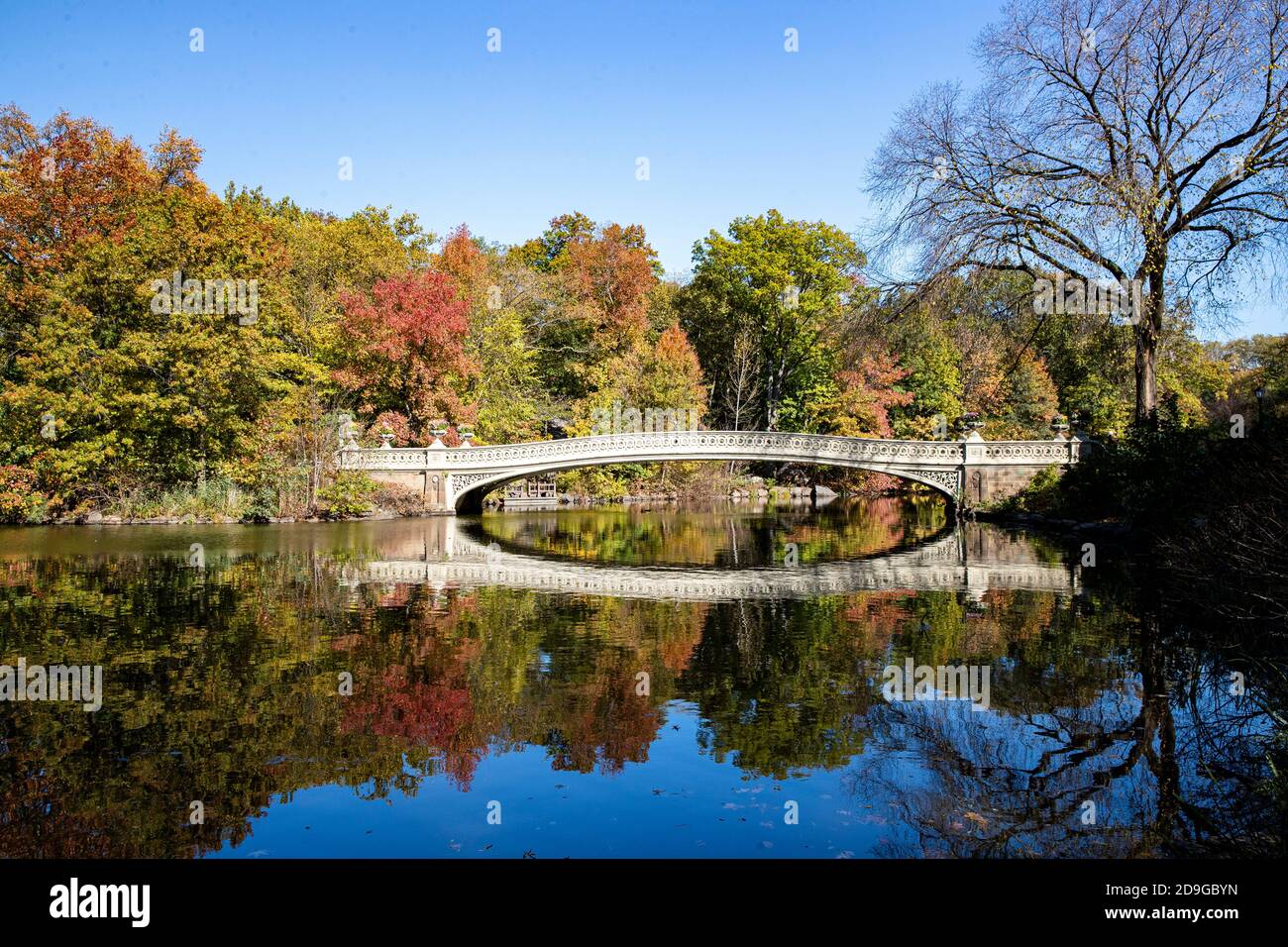 The Bow Bridge over the Lake in Central Park, New York City on November ...