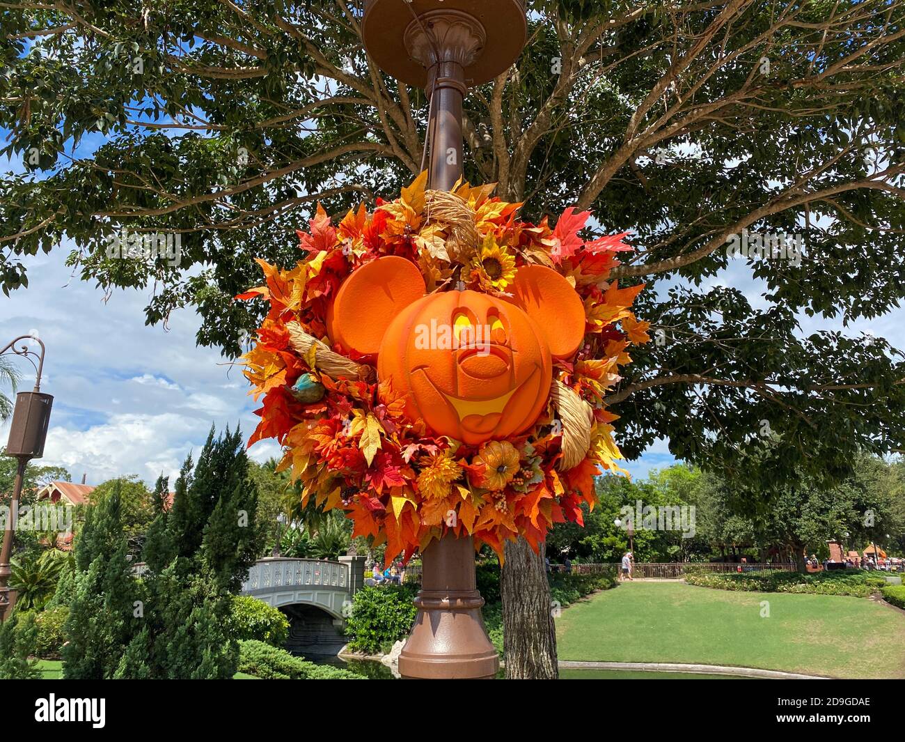 Orlando,FL/USA-10/11/20: A pumpkin decor with fall leaves of Mickey ...