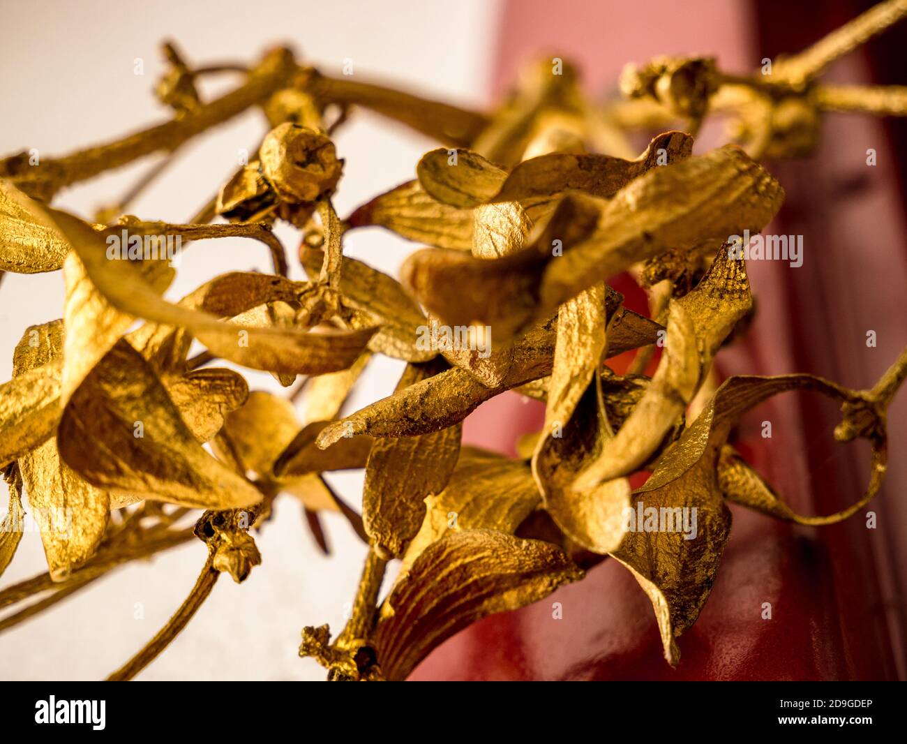 Gold mistletoe hanging on the door frame - selective focus Stock Photo ...
