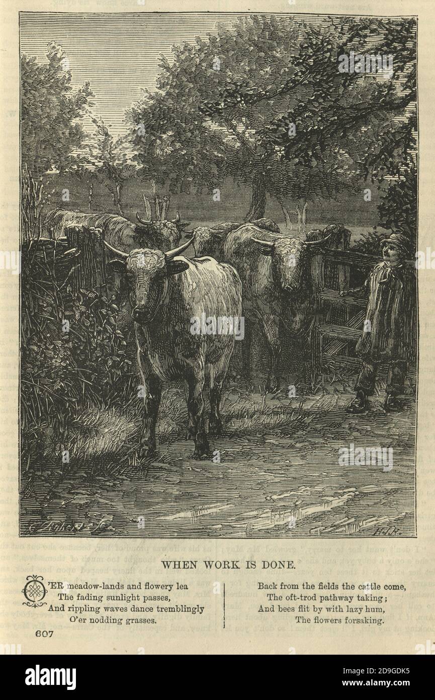 Victorian 19th century farming hi-res stock photography and images - Alamy