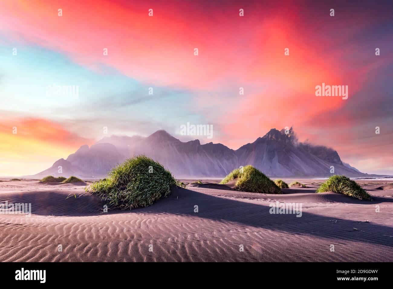 Gorgeous landscape with black sand desert dunes and grassy bumps near ...