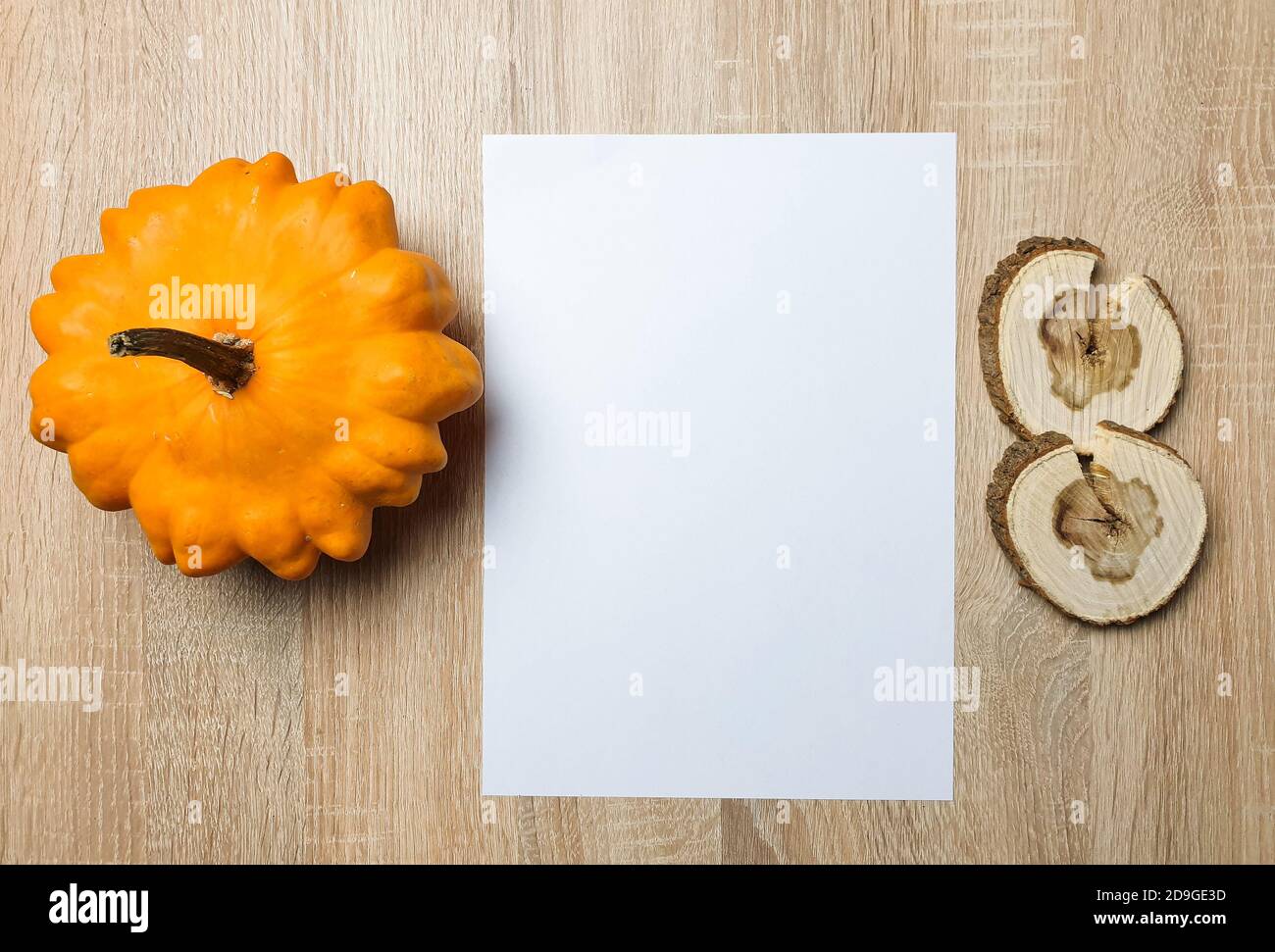 Autumn still life. Blank copy space card mockup of an autumn ...