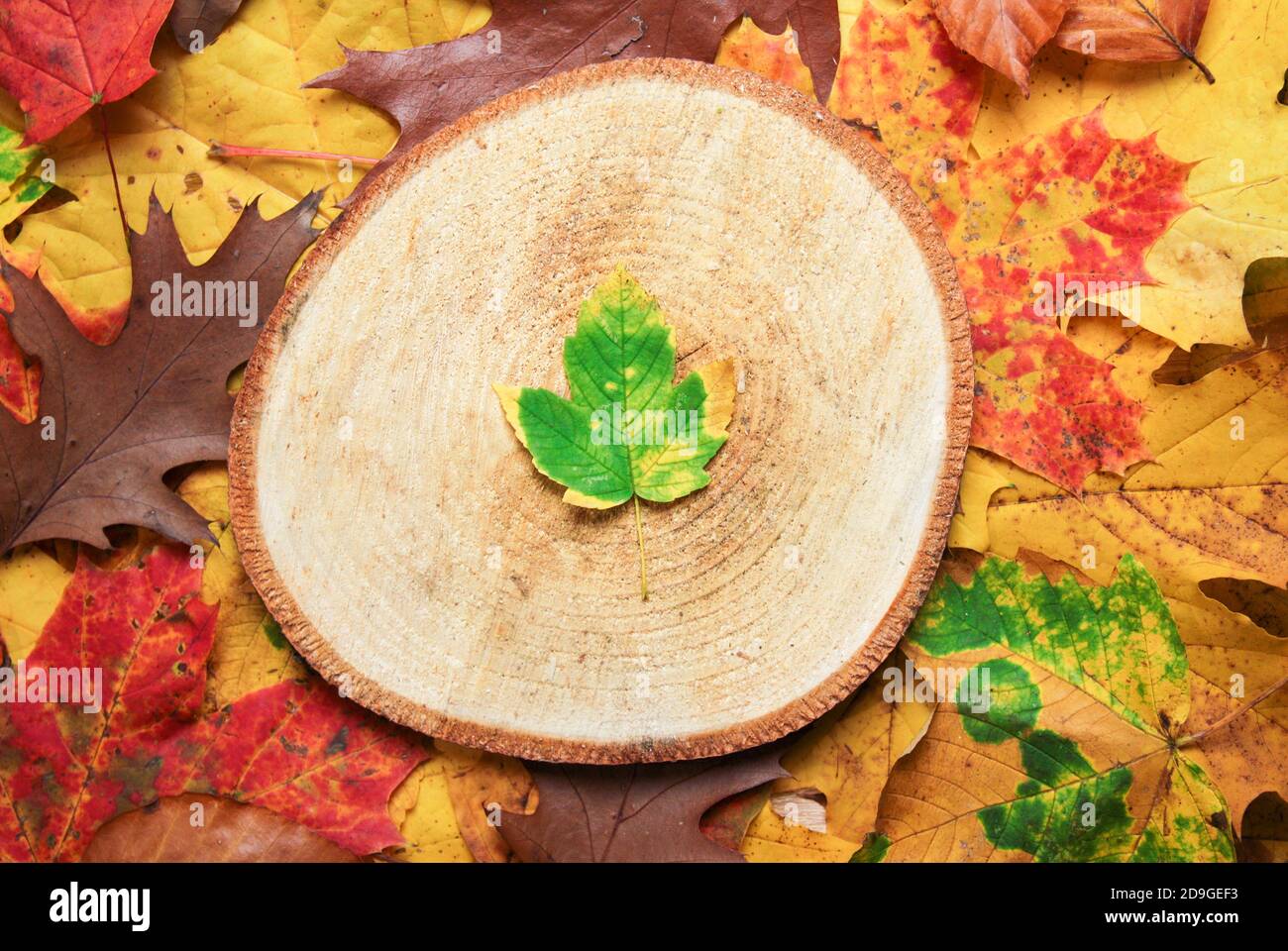 Wodden plate hi-res stock photography and images - Alamy
