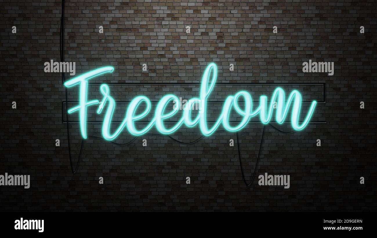 The message "Freedom" neon light on Brick wall bcakground Stock Photo ...