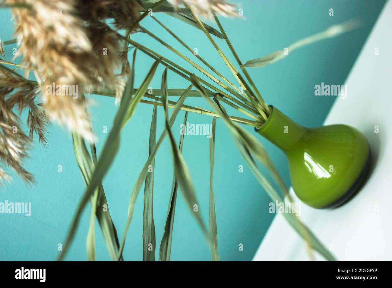 Reed stem on the background of the blue wall of the house, details that ...