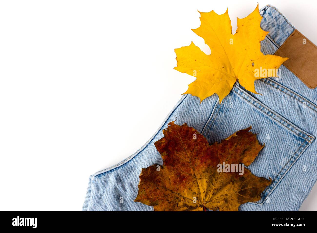 Close up maple leaf hi-res stock photography and images - Alamy