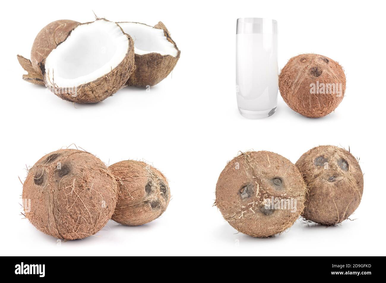 Group of coconut on a isolated white background Stock Photo - Alamy