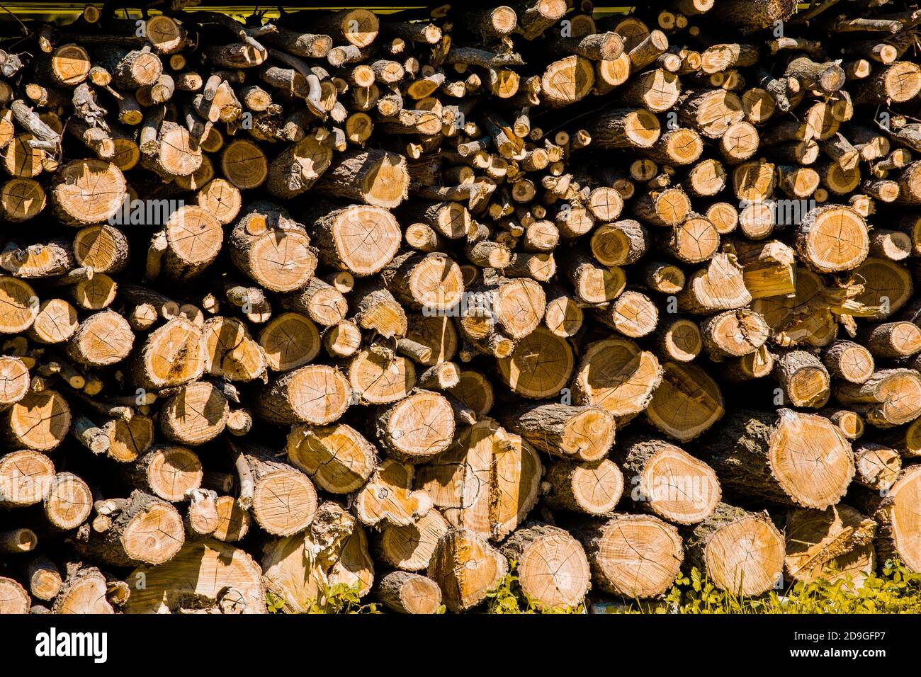 Piles of cut lumber hi-res stock photography and images - Alamy