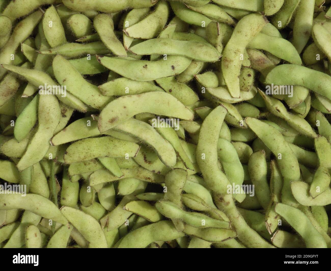 Top view of common beans - perfect for background Stock Photo - Alamy