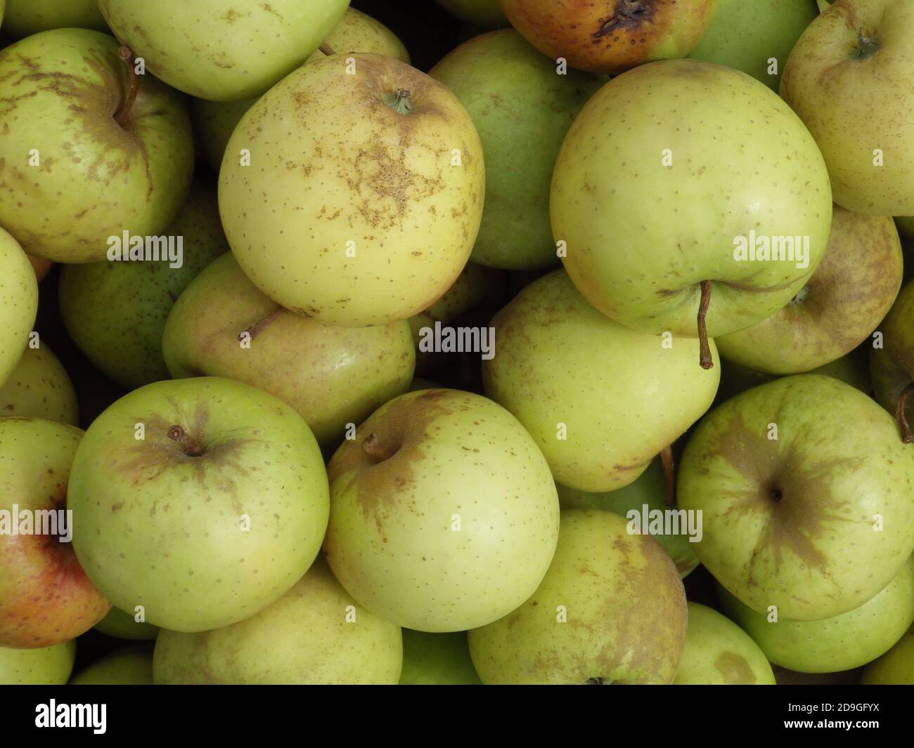 Top view of green apples - perfect for background Stock Photo - Alamy