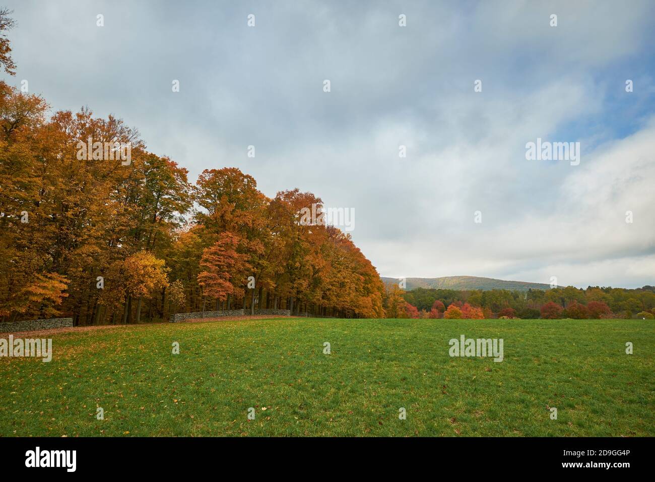Andy goldsworthy tree hi-res stock photography and images - Alamy