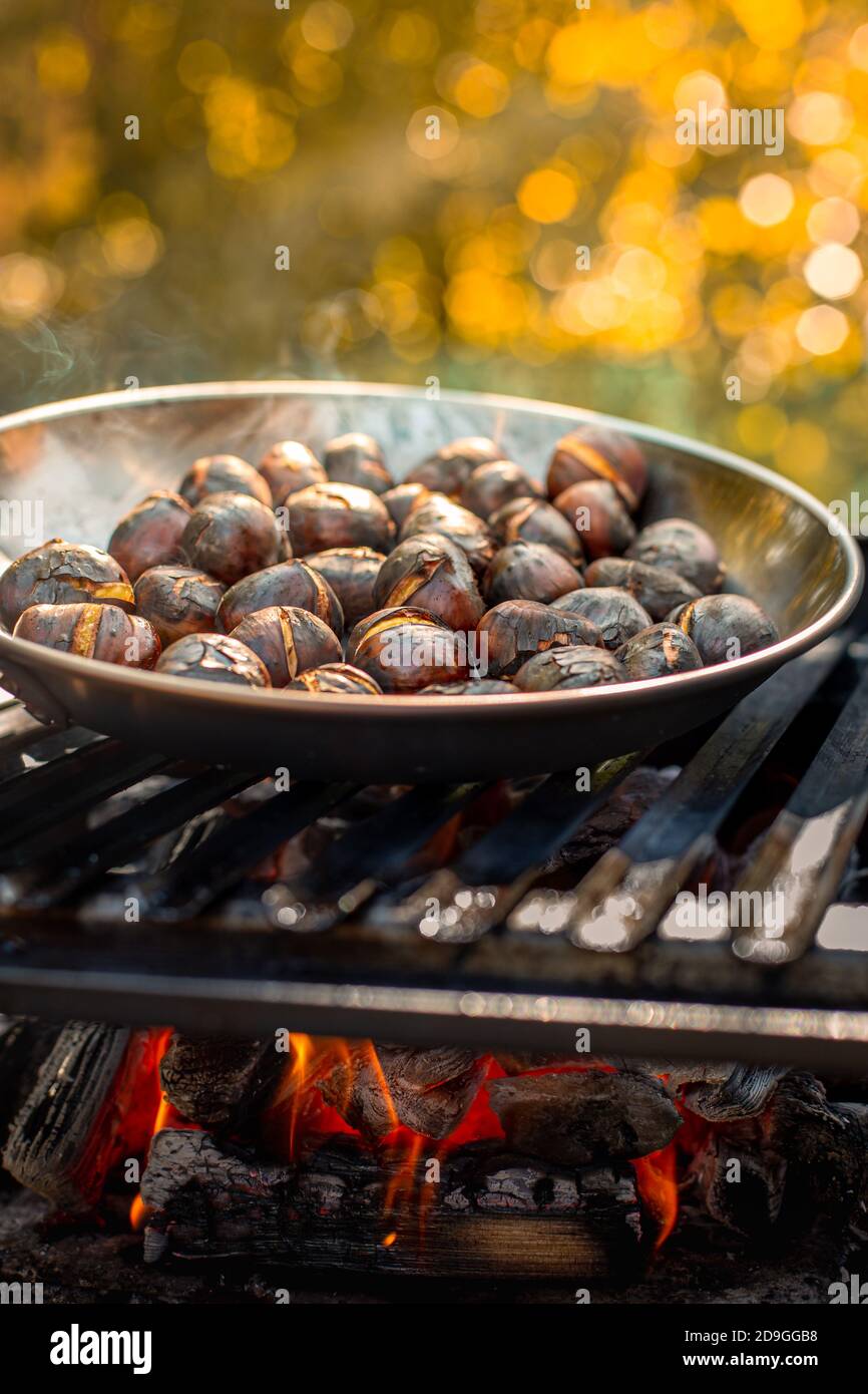 an over direct fire to roast chestnuts, Catalan tradition of "the ...