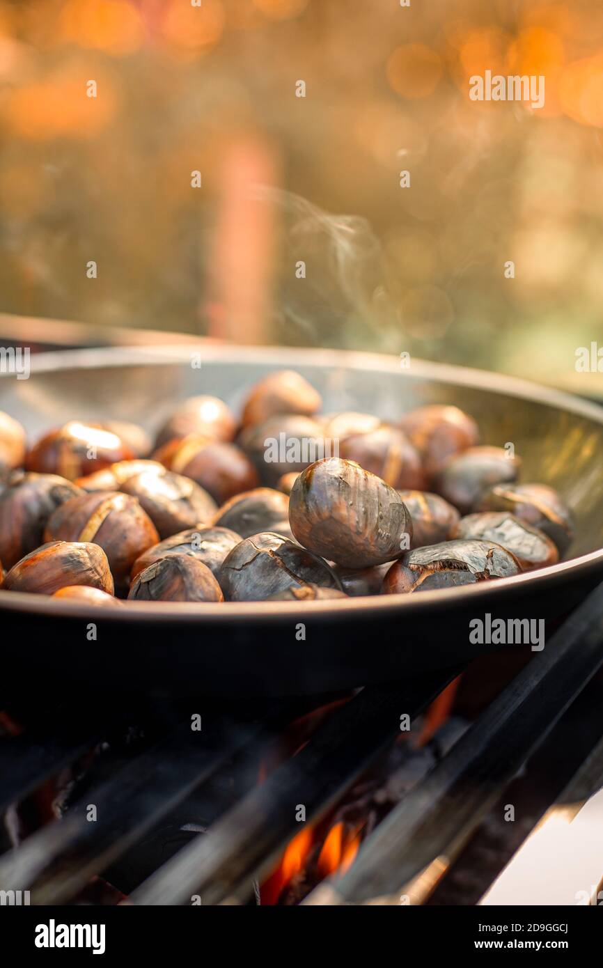 an over direct fire to roast chestnuts, Catalan tradition of "the ...