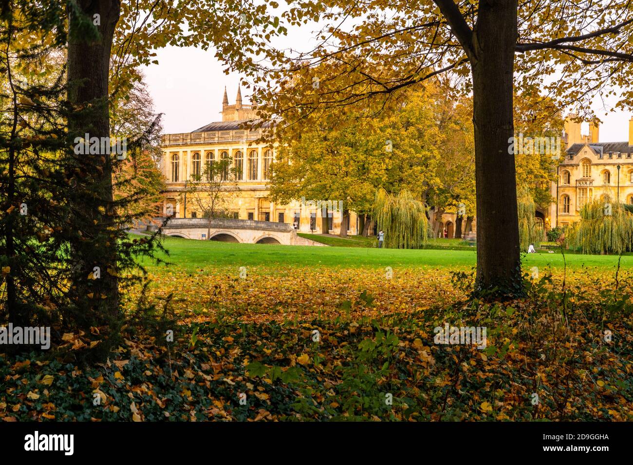 Garden at the back of Trinity College in autumn, Cambridge, UK Stock ...
