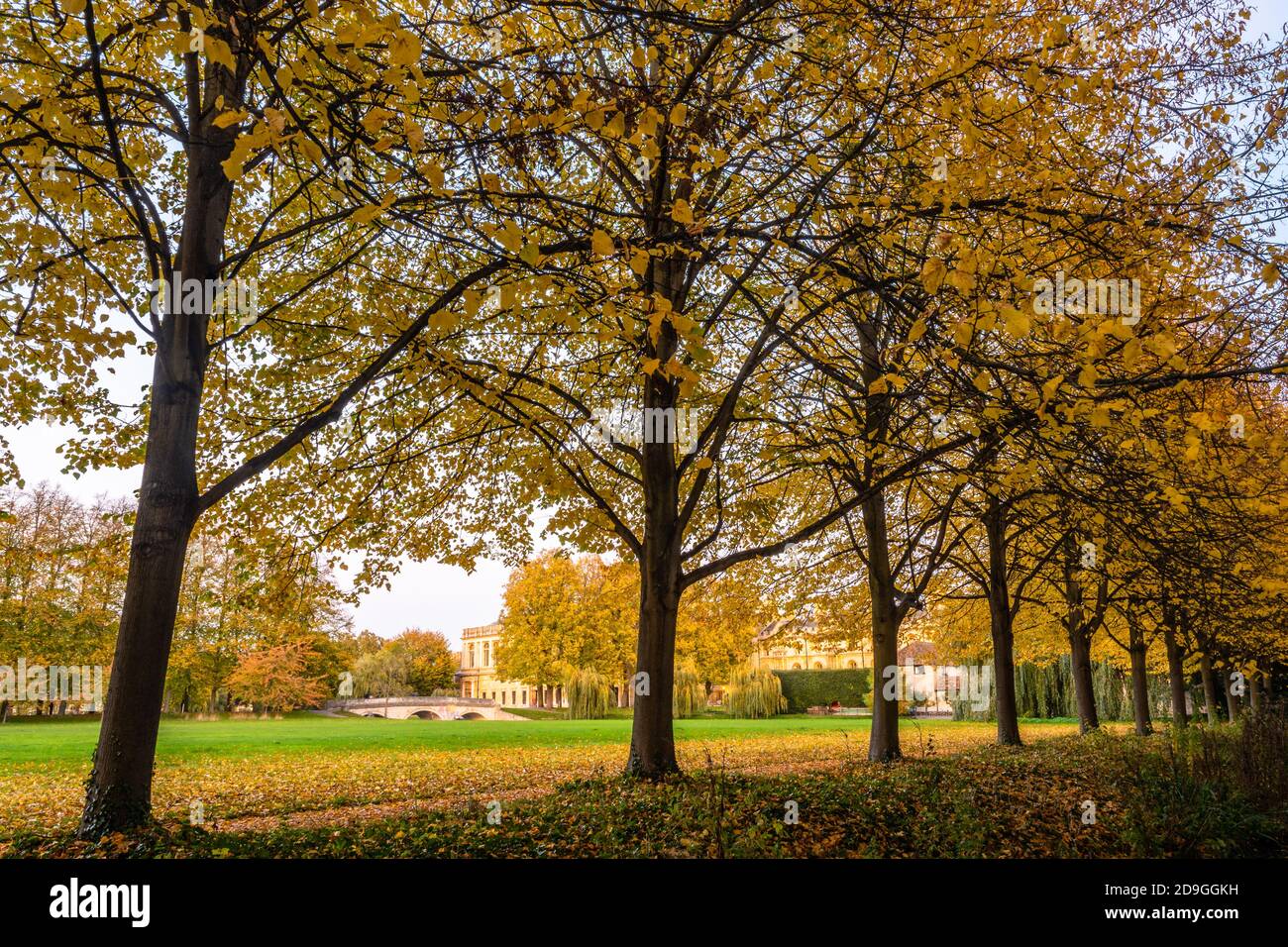Exterior of trinity college cambridge hi-res stock photography and ...