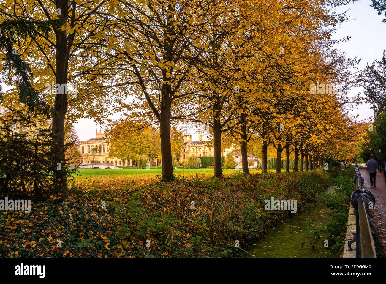 Trinity college exterior hi-res stock photography and images - Alamy