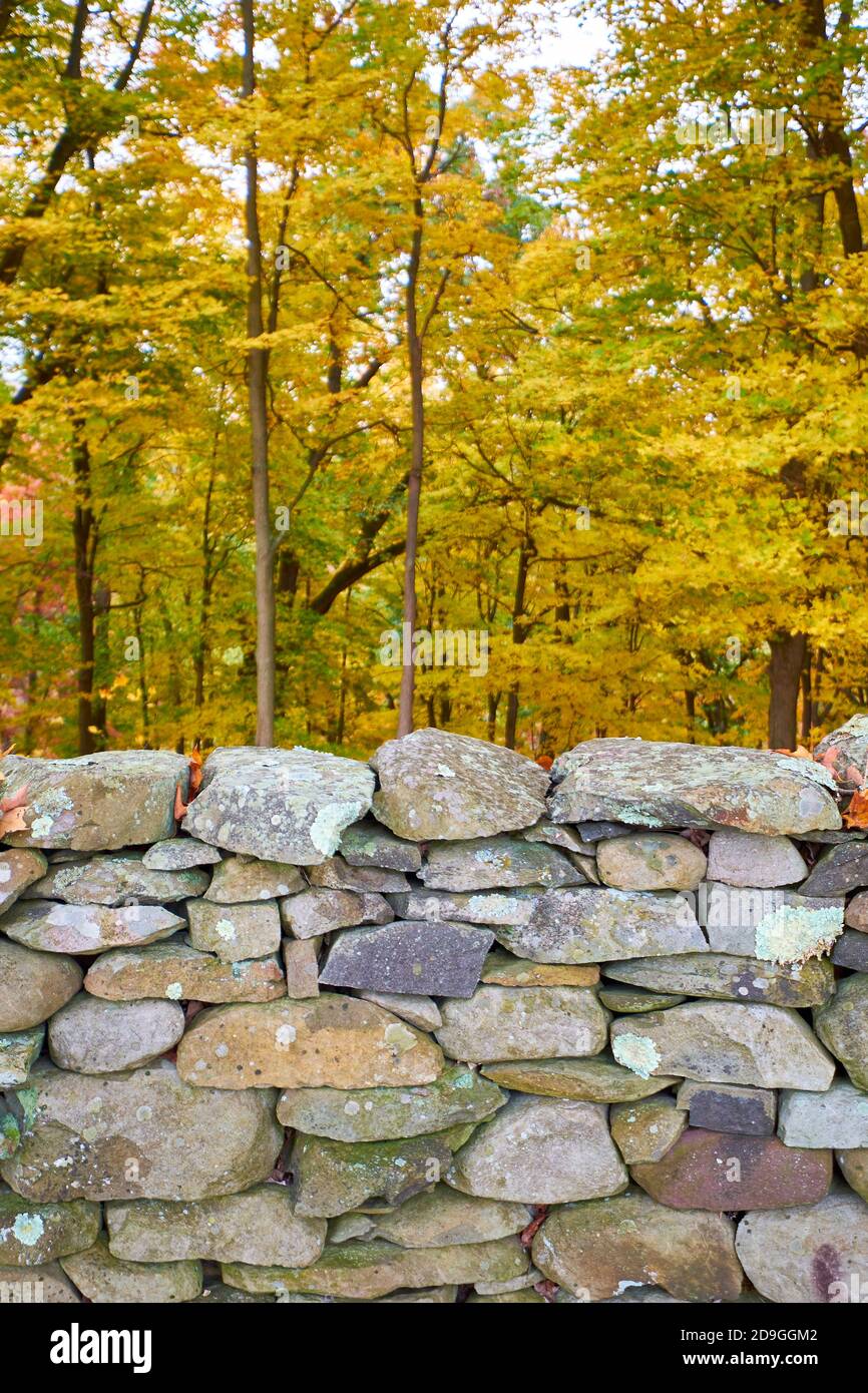 A detail, closeup of Andy Goldsworthy's rock Wall. During autumn, peak ...
