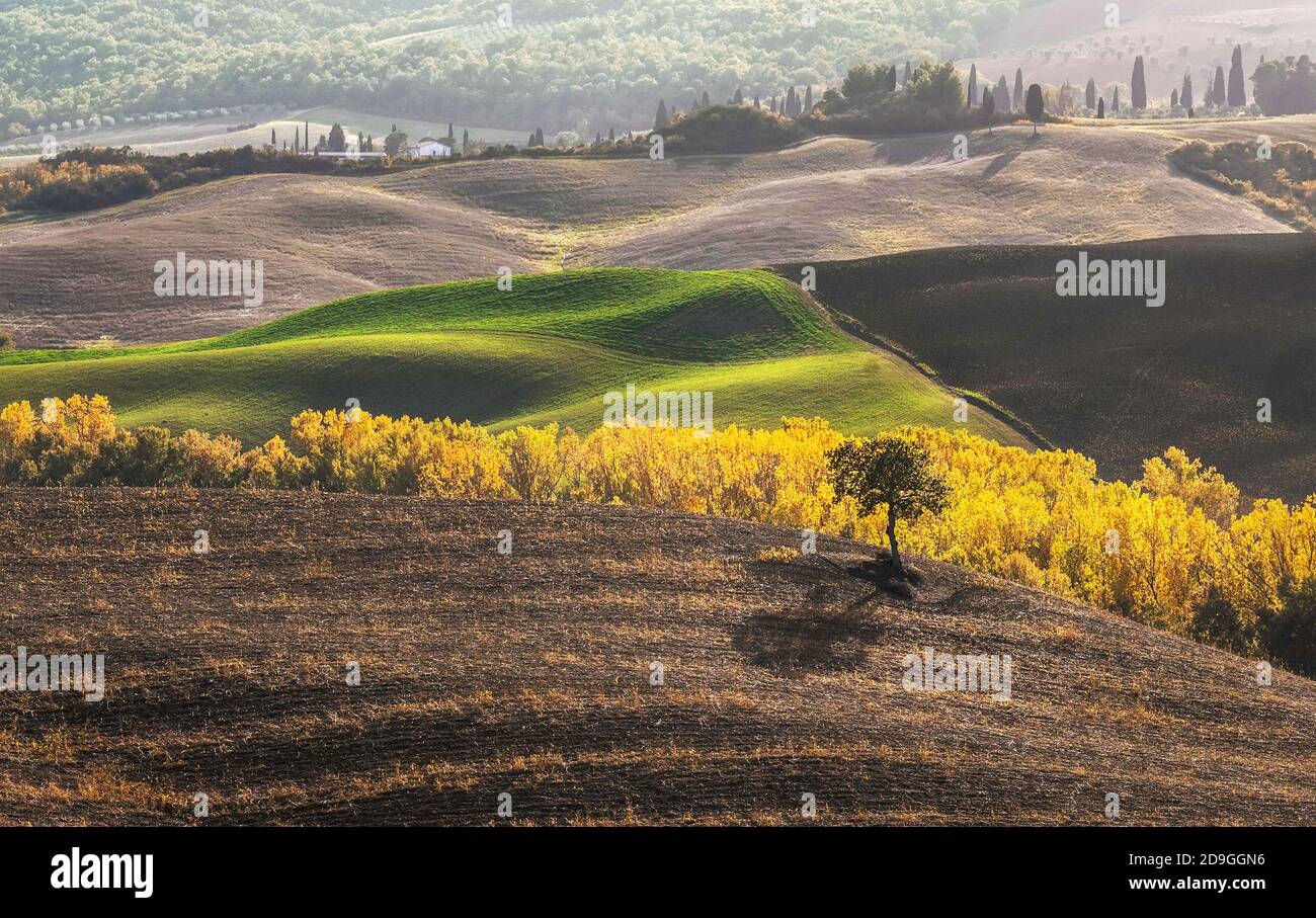 Stunning autumn morning Tuscany hills landscape view with plowed and ...
