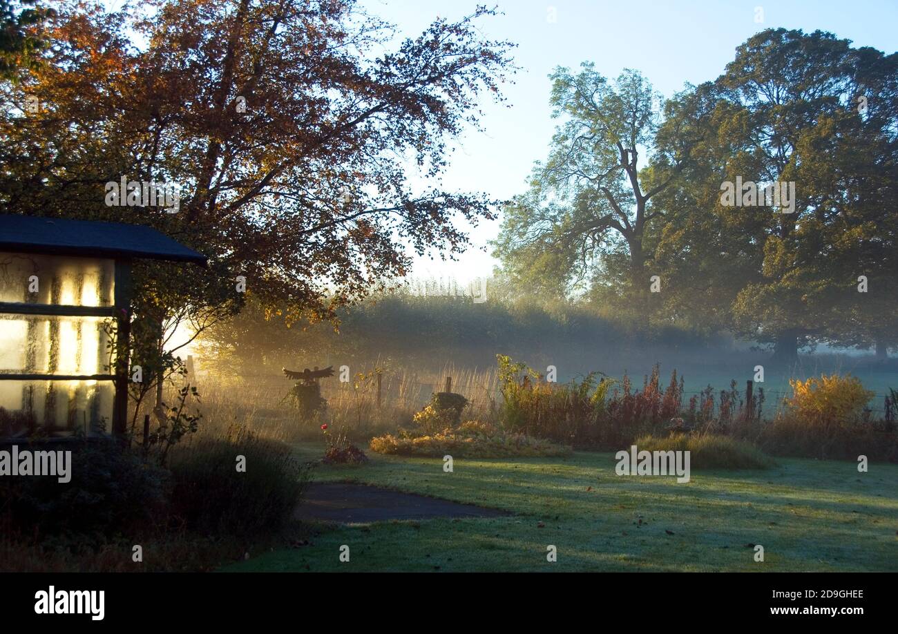 October glow hi-res stock photography and images - Alamy