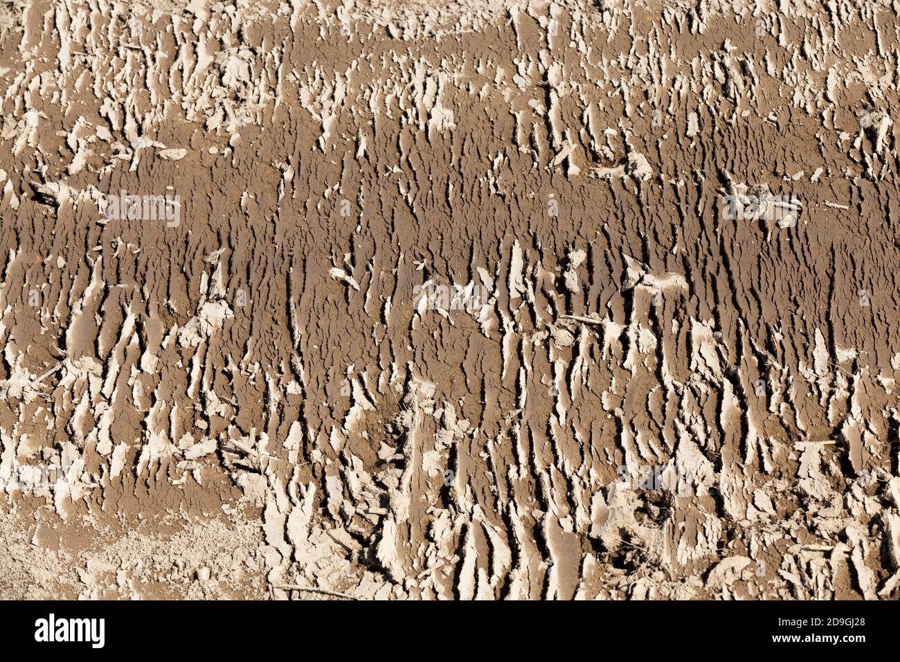 Grass seed sown hi-res stock photography and images - Alamy