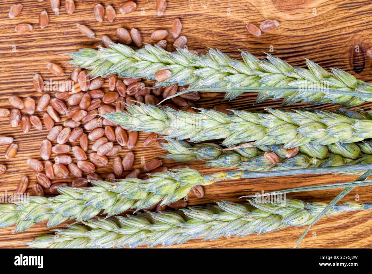 Rye grain hi-res stock photography and images - Alamy