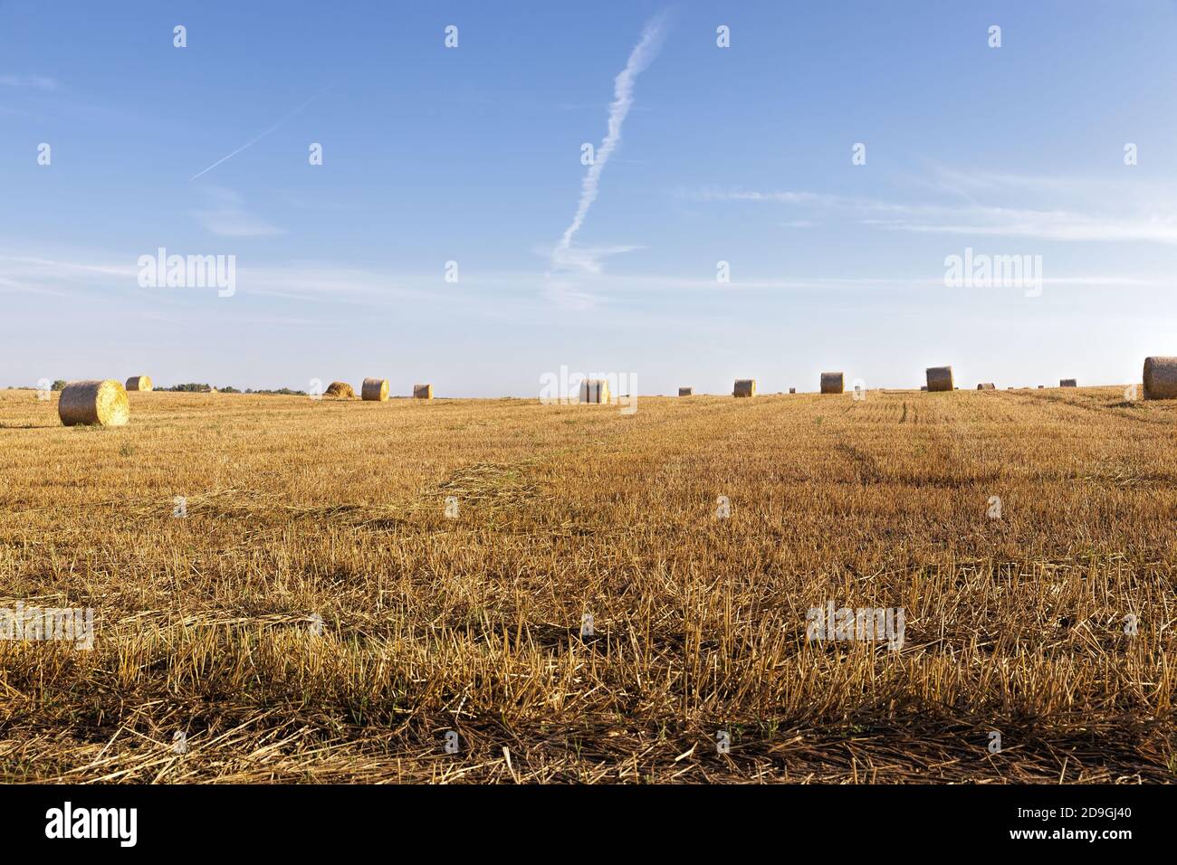 a stack of straw Stock Photo - Alamy